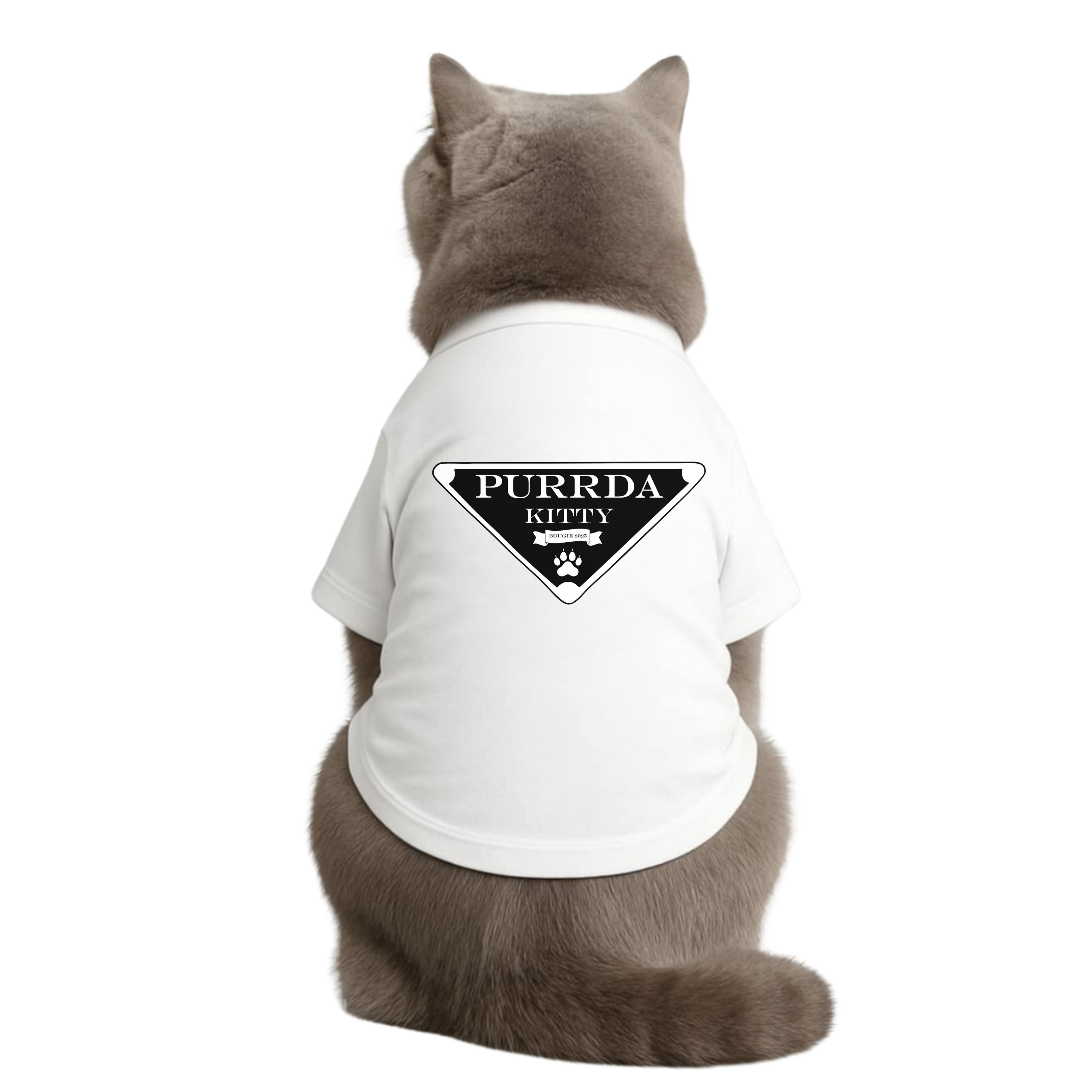 SoCal Bougie Poochie | Luxury Dog Clothing & Pet Accessories