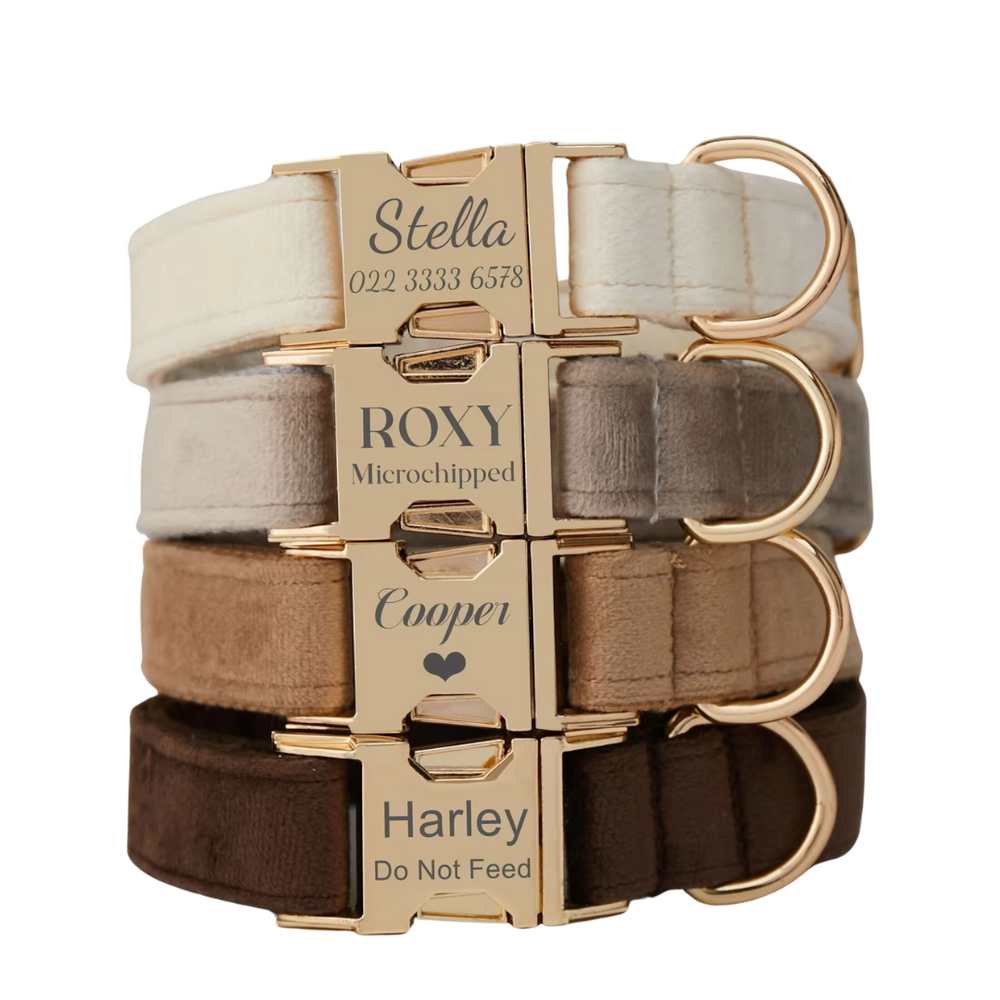 SoCal Bougie Poochie | Luxury Dog Clothing & Pet Accessories