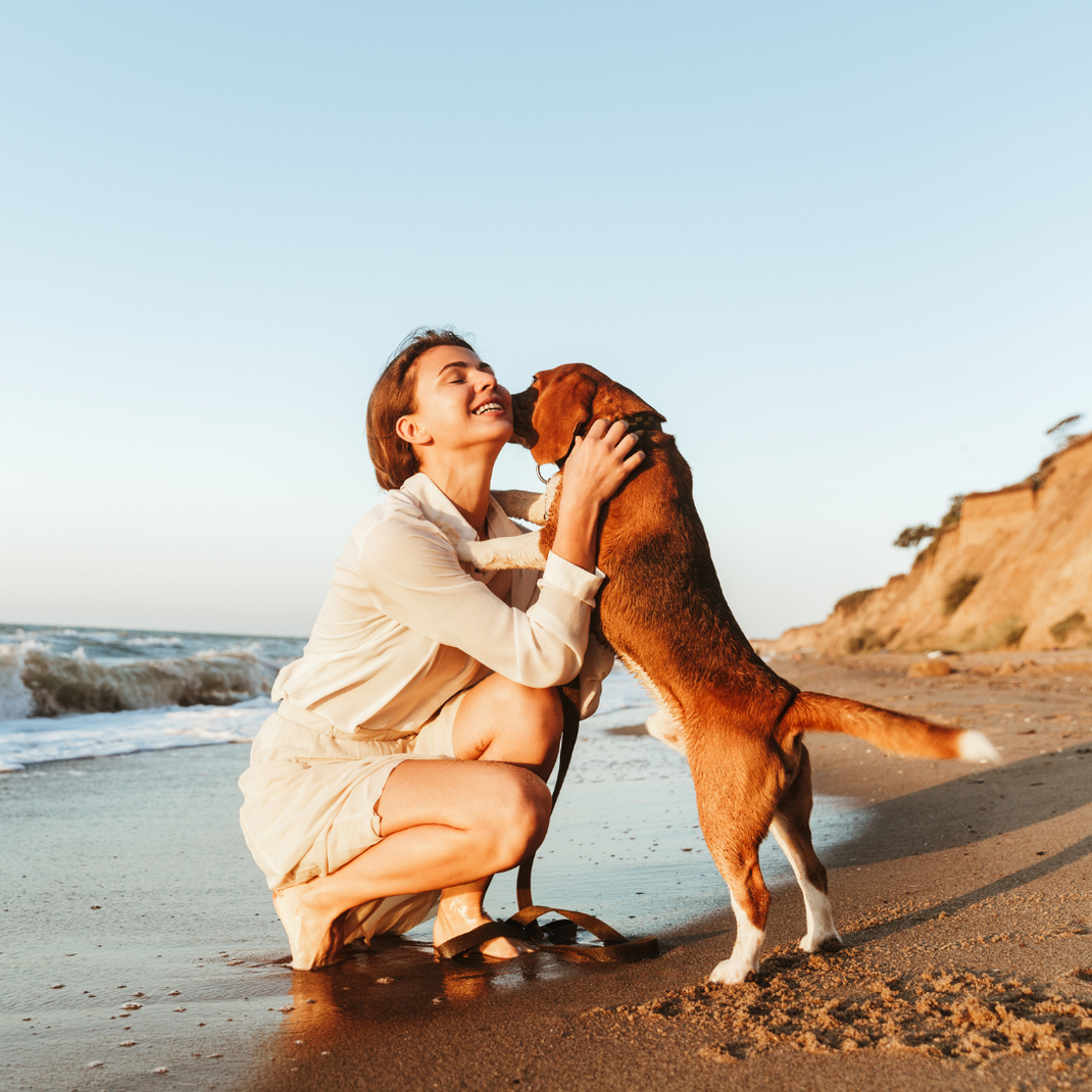 SoCal Bougie Poochie | Luxury Dog Clothing & Pet Accessories